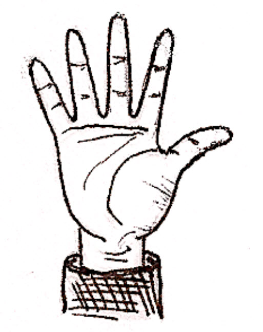 How to Draw a Hand | Fazzino